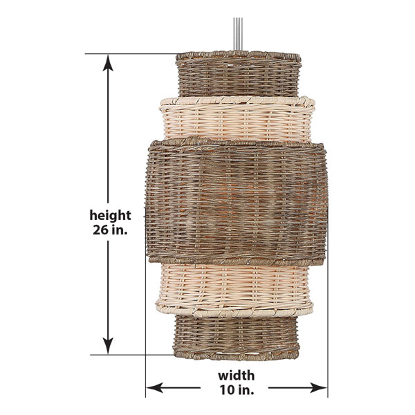 Bayou Breeze Braylon 1 - Light Single Jar Pendant | Wayfair