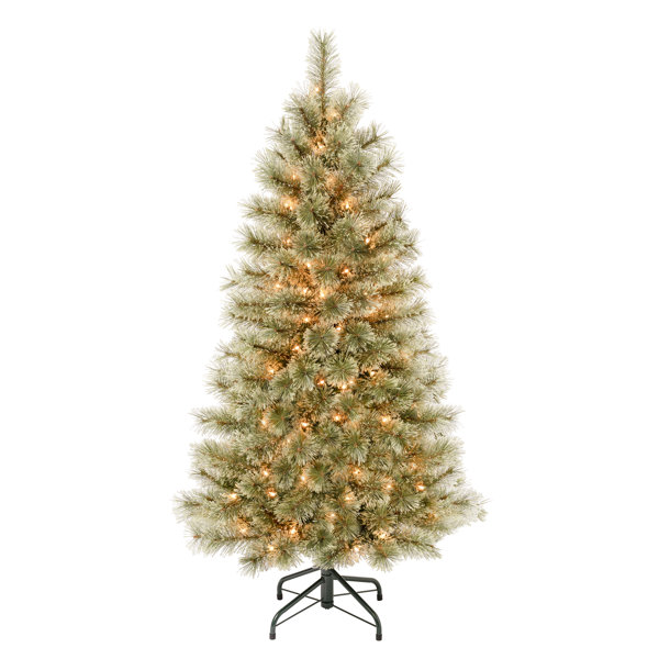 The Holiday Aisle® Arcadia Cashmere Pine Tree with Clear Lights | AllModern
