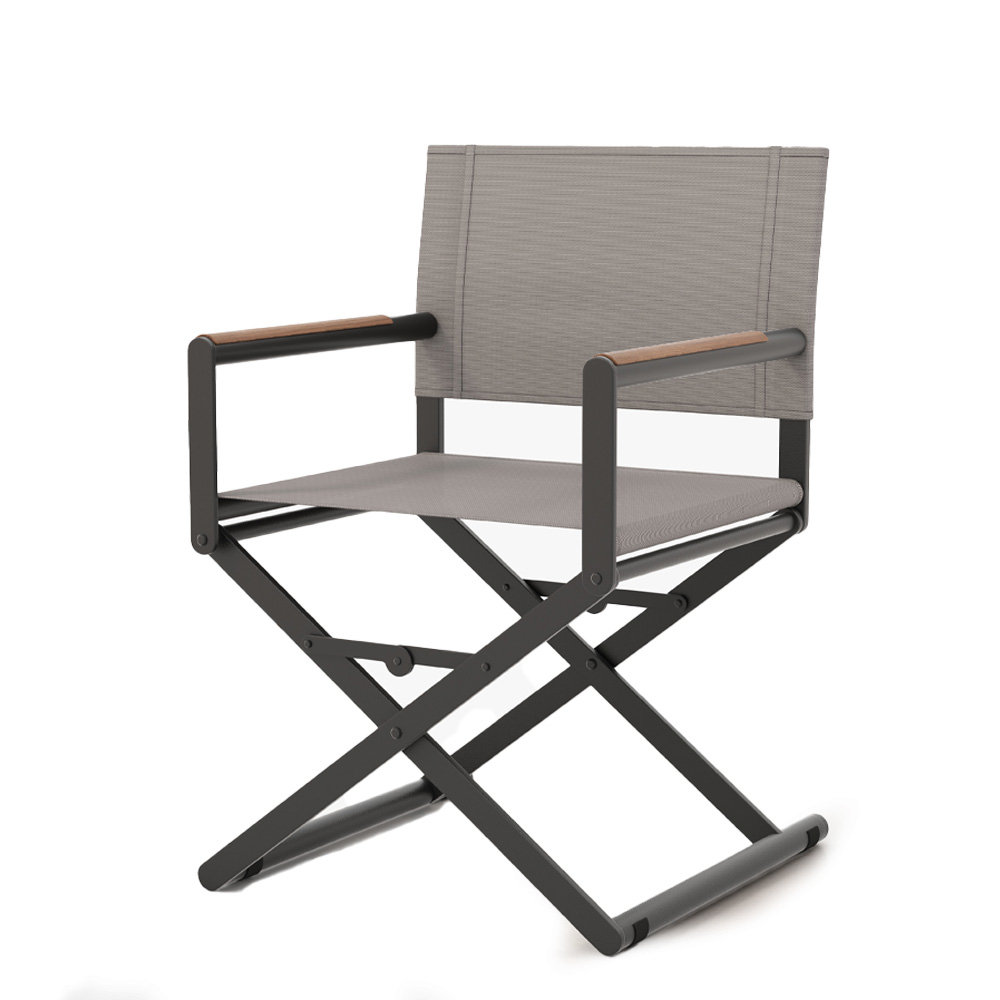 Wade Logan® Cailin Folding Director Chair & Reviews | Wayfair