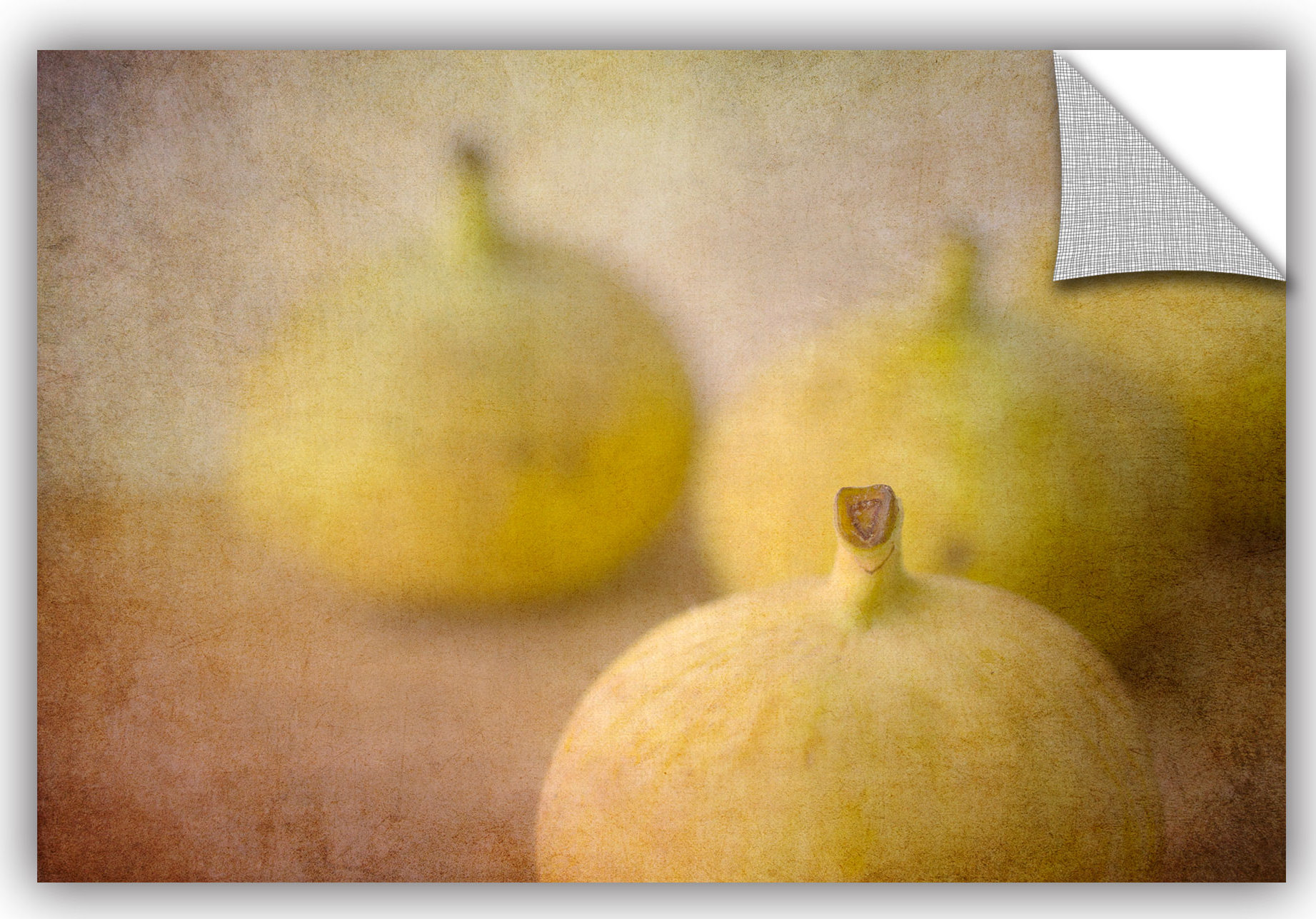 Lark Manor™ Akeema Fat Figs Removable Wall Decal - Wayfair Canada