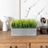 Primrue Artificial Fake Grass Plants In Cement Planter Box | Wayfair