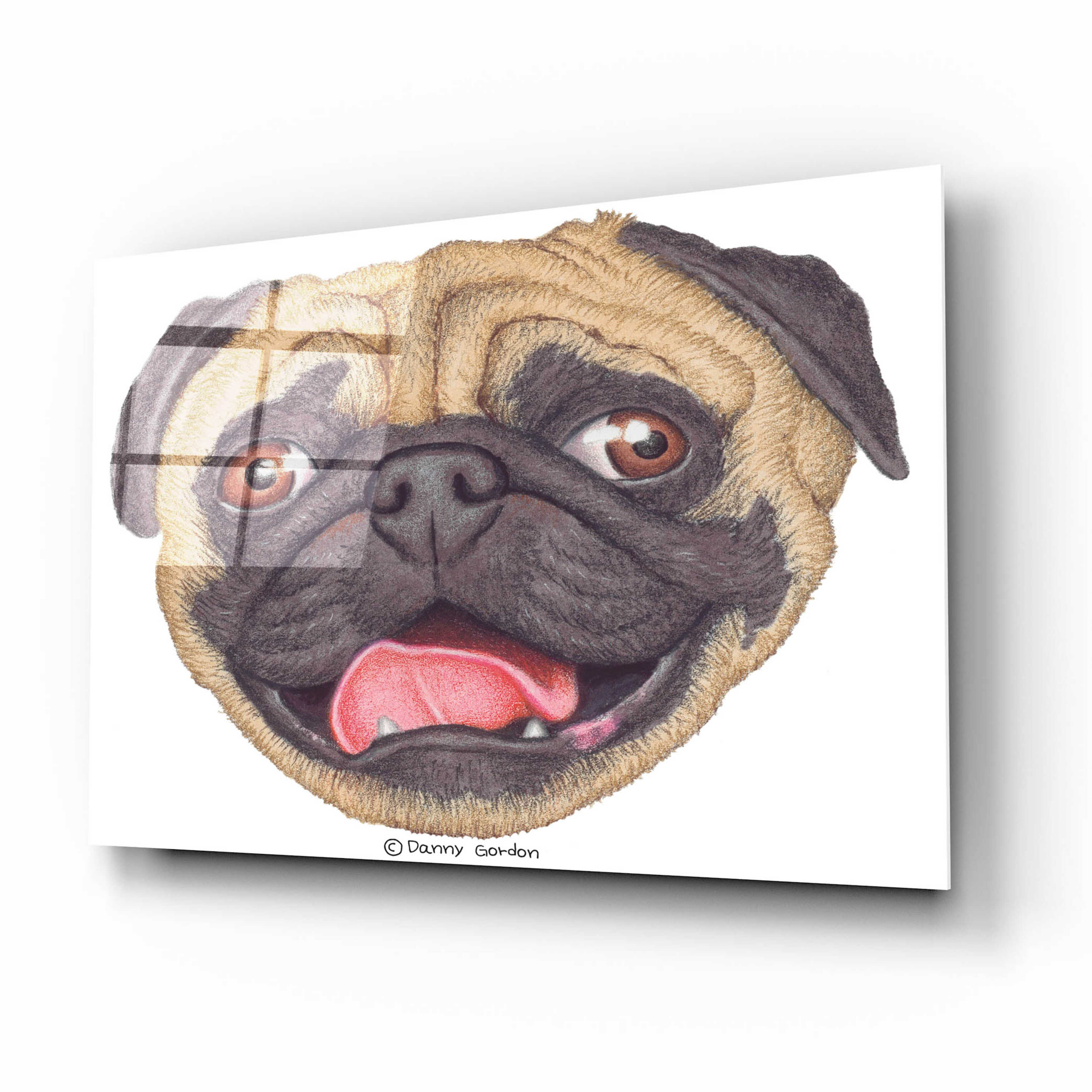 Trinx 'Binky' By Danny Gordon Art, Acrylic Glass Wall Art - Wayfair Canada