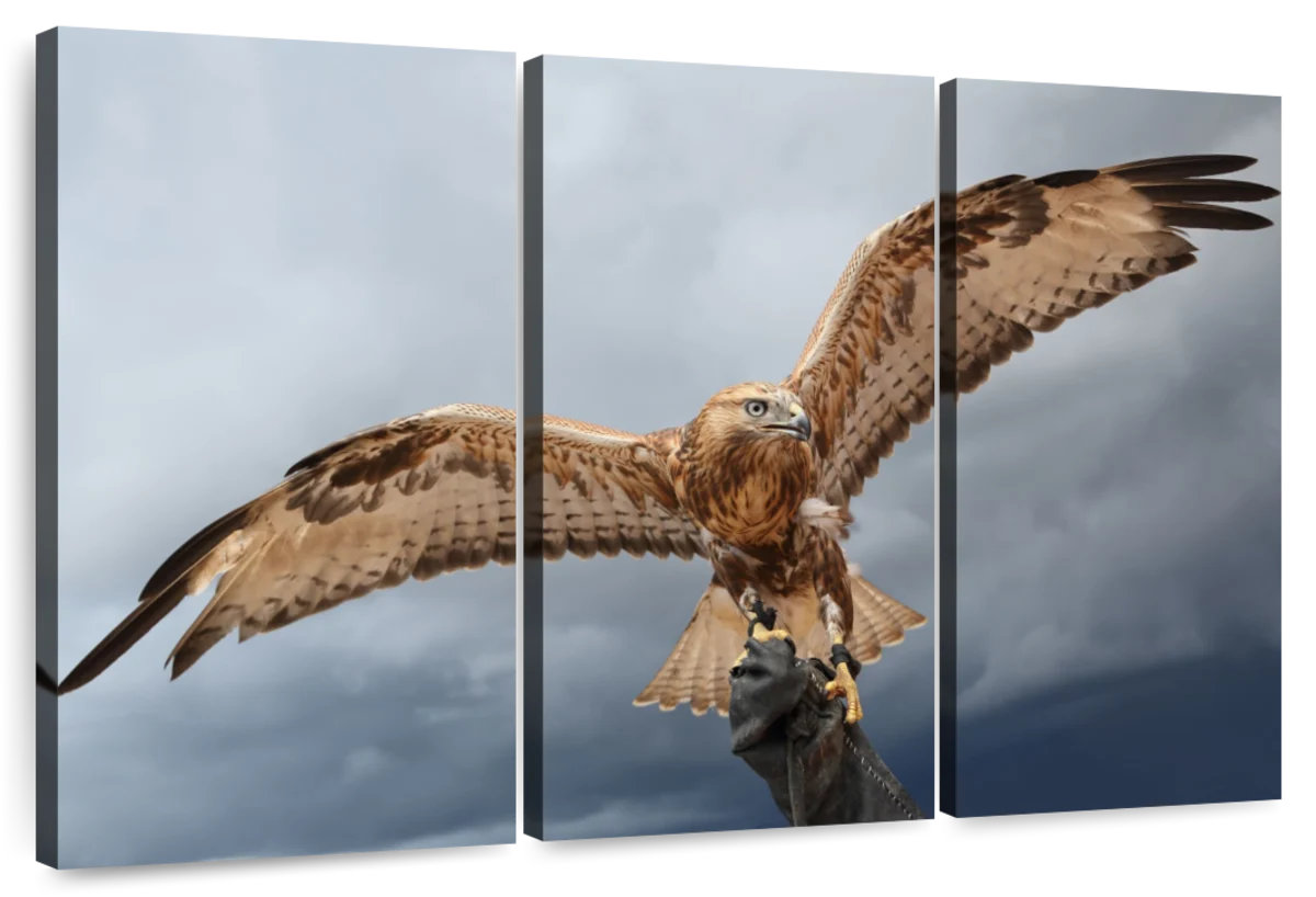 Ebern Designs Brampt Falcon On Gauntlet | Wayfair