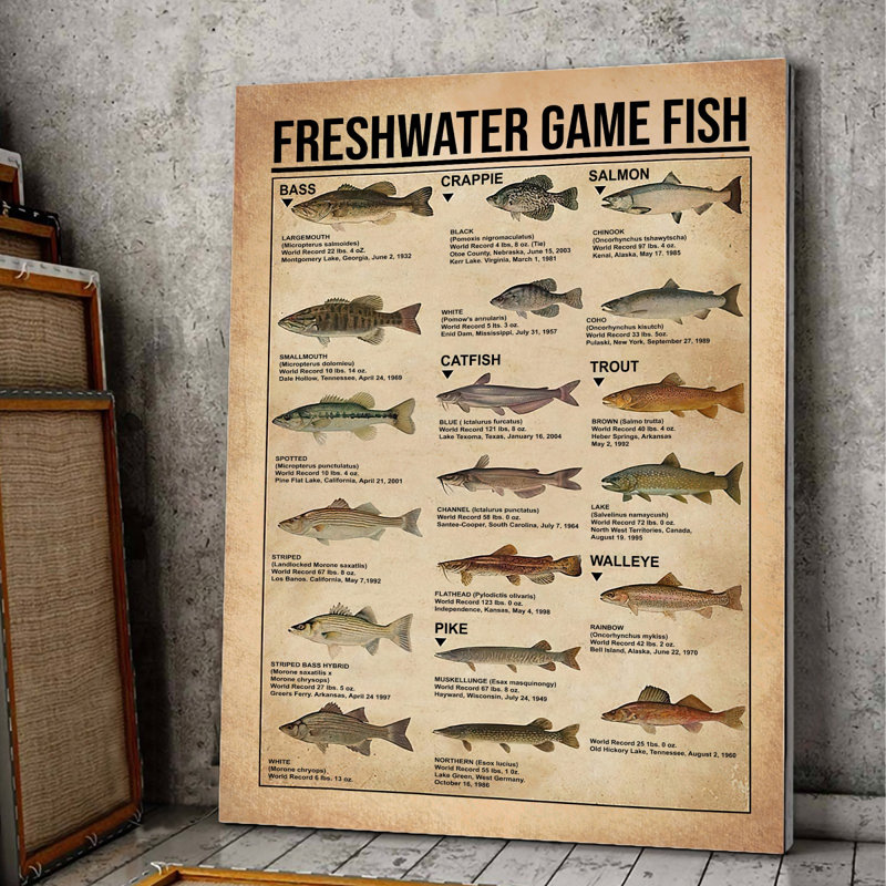 Highland Dunes Freshwater Game Fish Gallery Wrapped Canvas - Animal ...