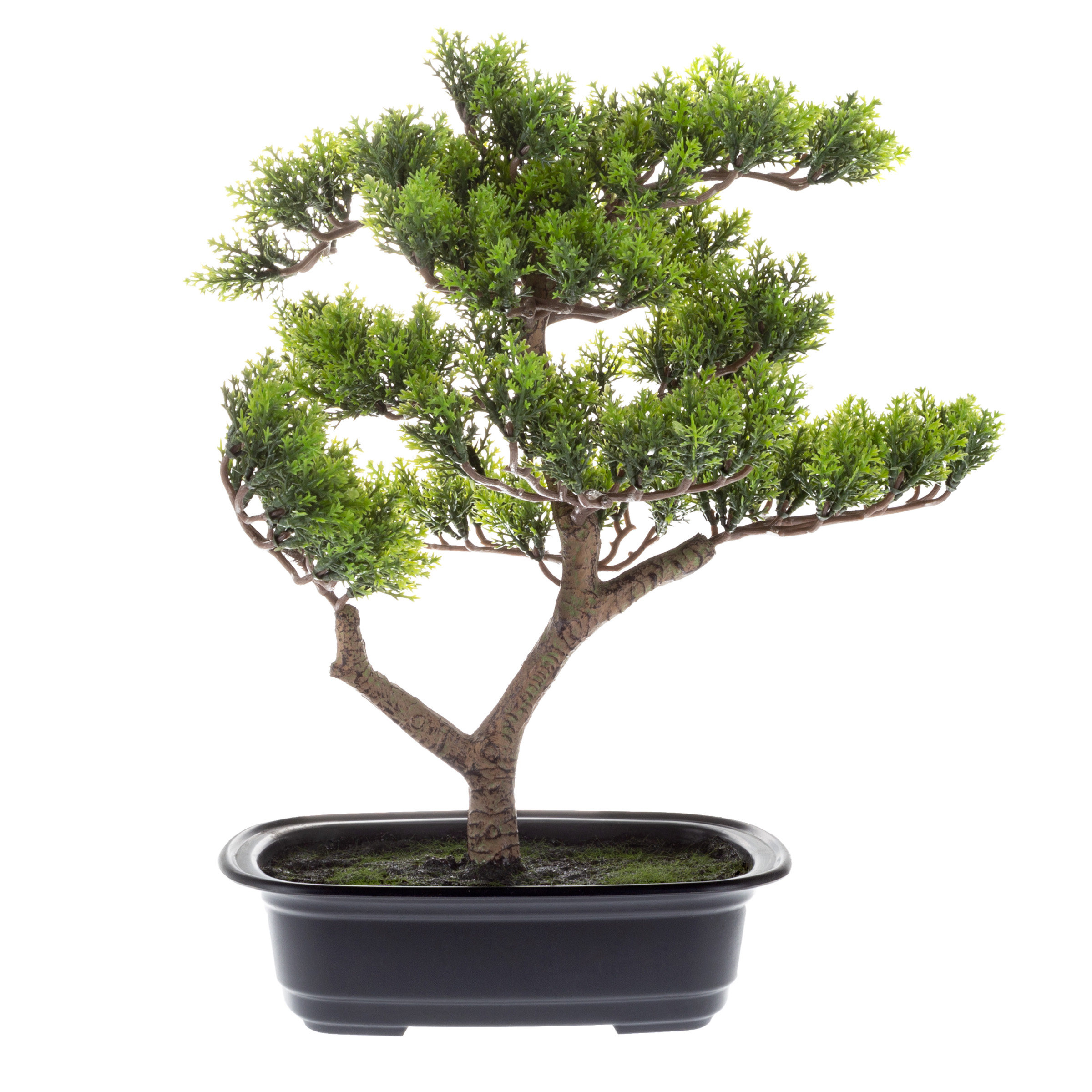 Primrue Faux Pine Bonsai Tree - 14.5-inch Artificial Topiary for Desk ...