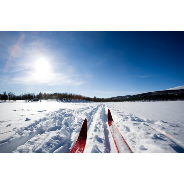 Highland Dunes " Red Skis " by Leaf | Wayfair