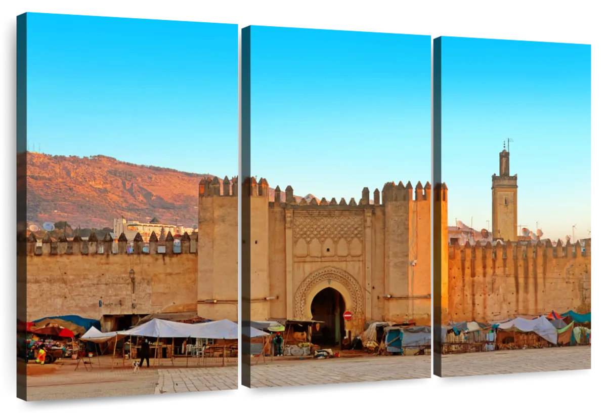 Elephant Stock Medina Of Fez | Wayfair