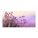 Fleur De Lis Living Wiley Lavender 50cm x 100cm Glass Panel | Wayfair.co.uk