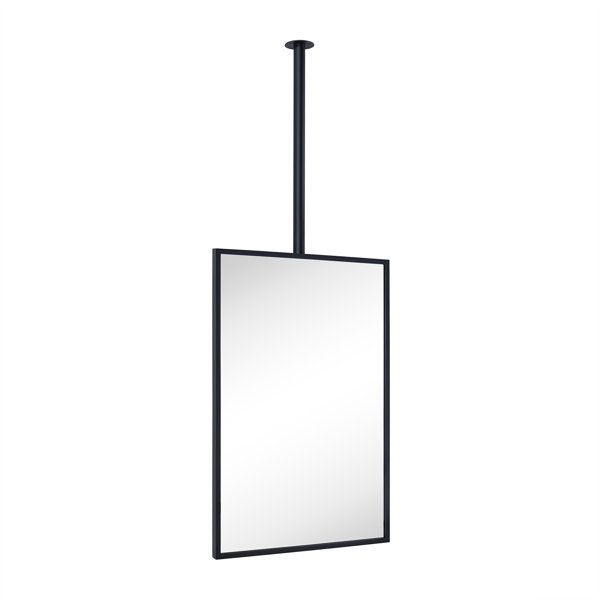 Ebern Designs Ceiling Mount Rectangle Metal Wall Mirror | Wayfair