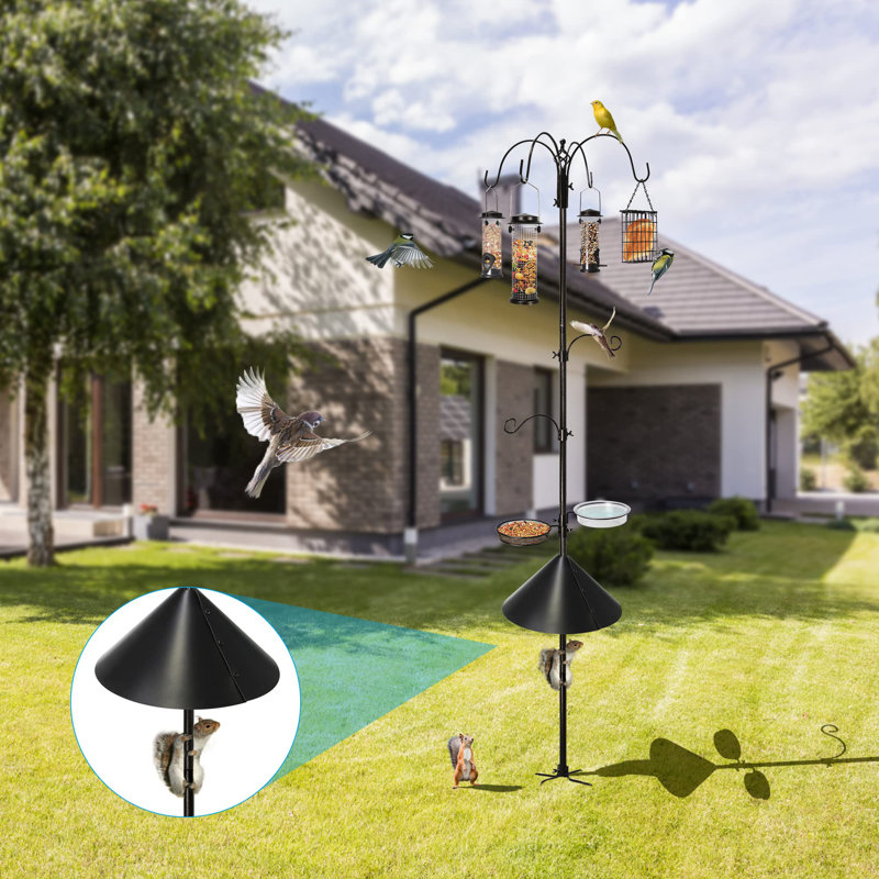 Arlmont & Co. Squirrel-Proof Bird Feeder Station - Heavy-Duty Steel ...