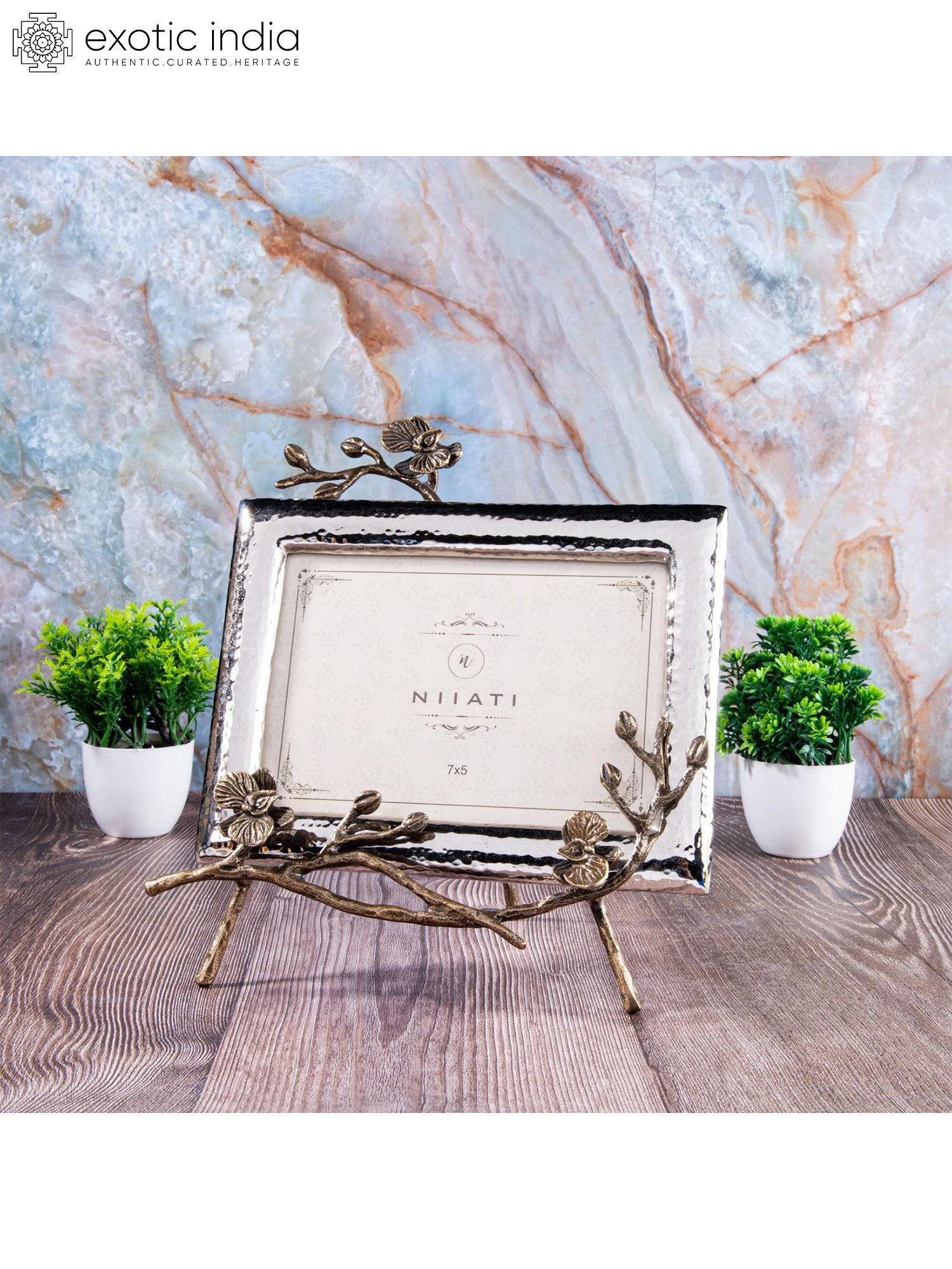 Exotic India Metal Picture Frame | Wayfair
