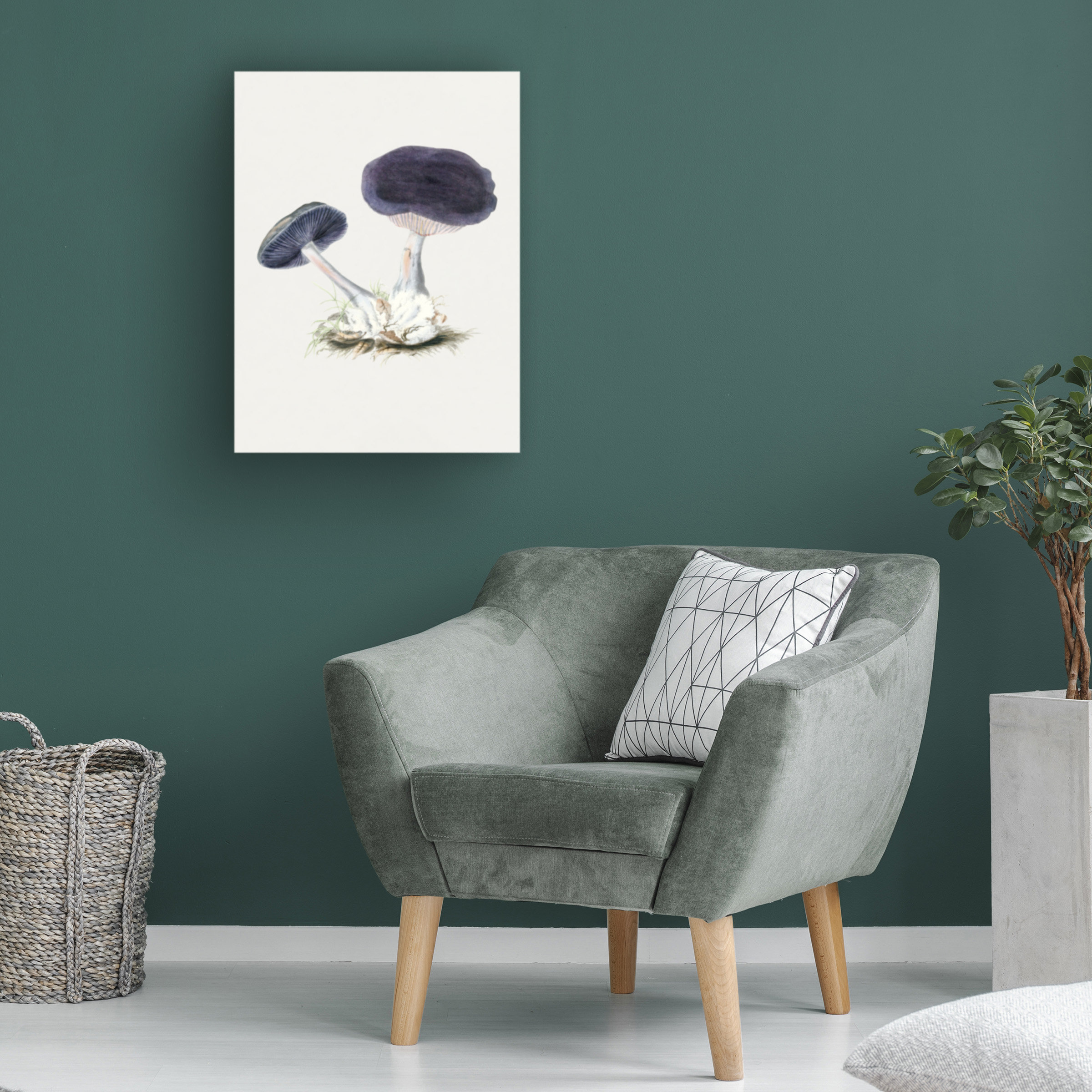 Trademark Fine Art Modern & Contemporary Vintage Violet Webcap Mushroom ...