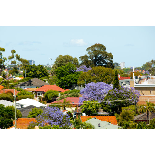 Ebern Designs Jacaranda Trees Blooms On Canvas Print | Wayfair