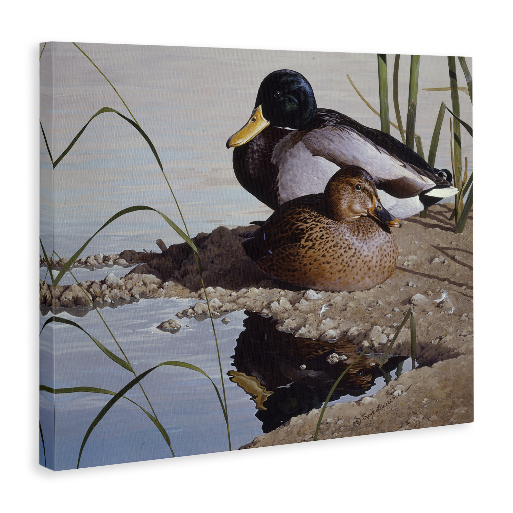 August Grove® Two Ducks Water's Edge Canvas Wall Art by Rod Lawrence ...