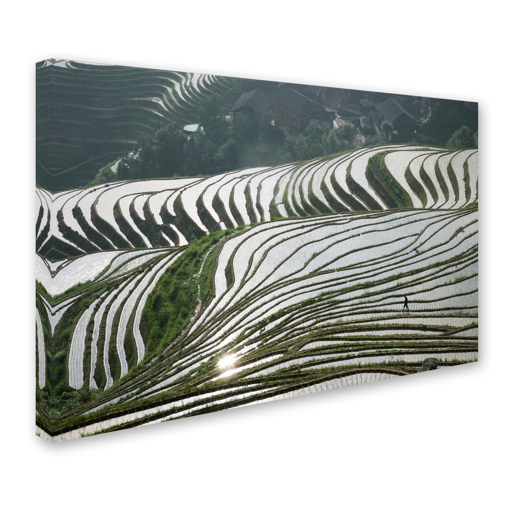 Trademark Fine Art 'Rice Fields' Photographic Print on Wrapped Canvas ...