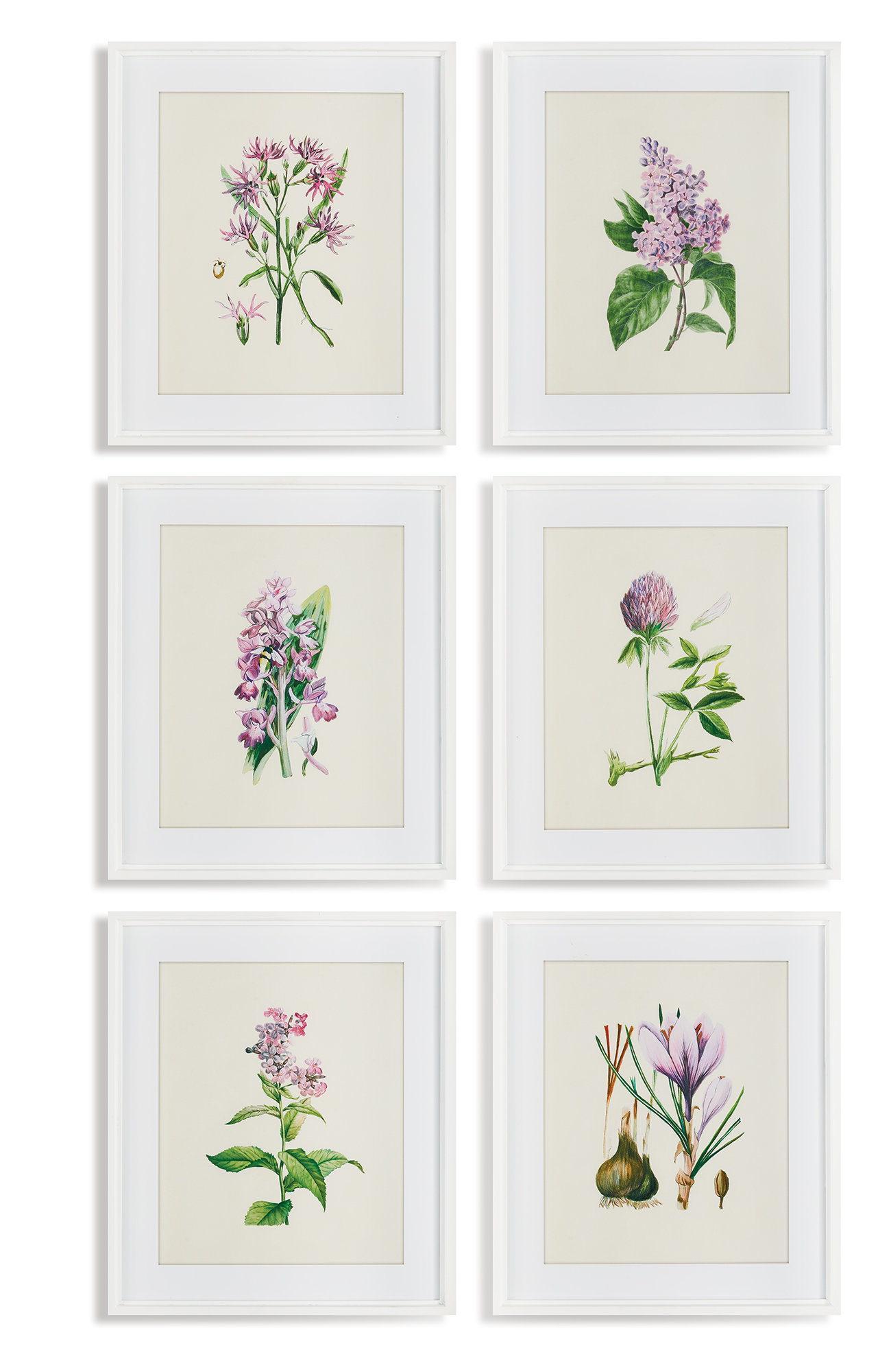 Birch Lane™ Andel 'Flower Prints' 6 Piece Picture Frame Print Set ...