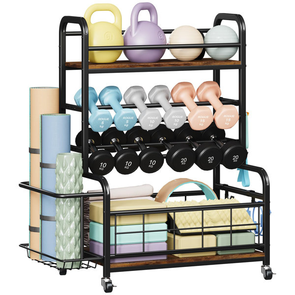 Latitude Run® 450LBS Dumbbell Rack,Weight Rack For Dumbbells,Weight ...