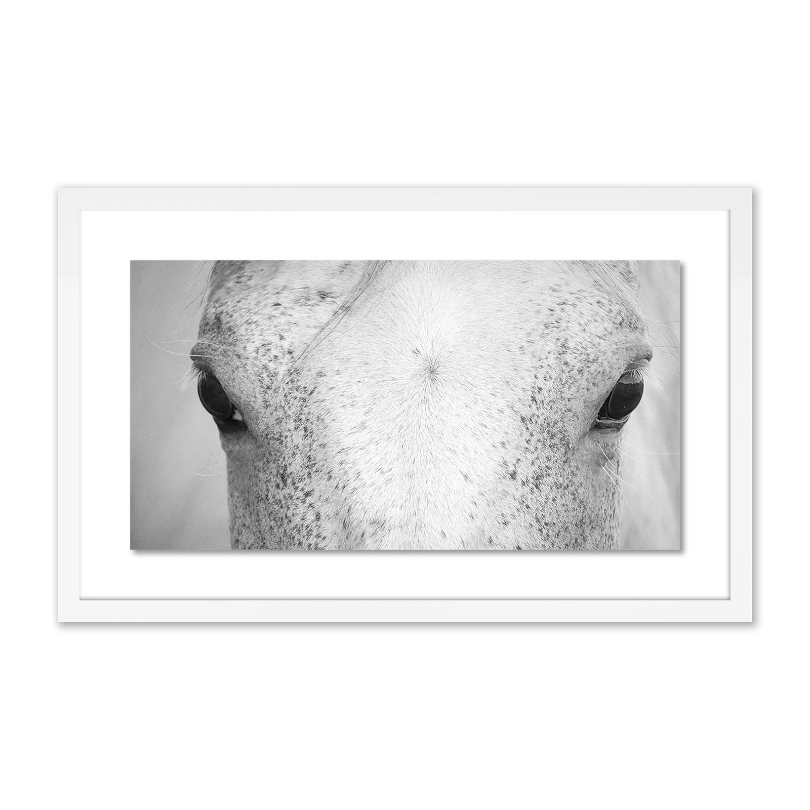 Four Hands Art Studio 'Skipper' by Shawn Thomas - Picture Frame ...