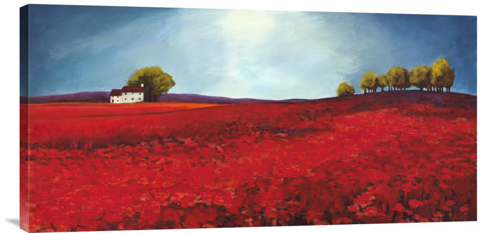 Global Gallery 'Field of Poppies' by Philip Bloom Painting Print on ...