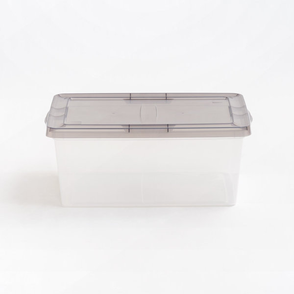 Wayfair Basics® Didmarton Snap Top Plastic Storage Box & Reviews | Wayfair