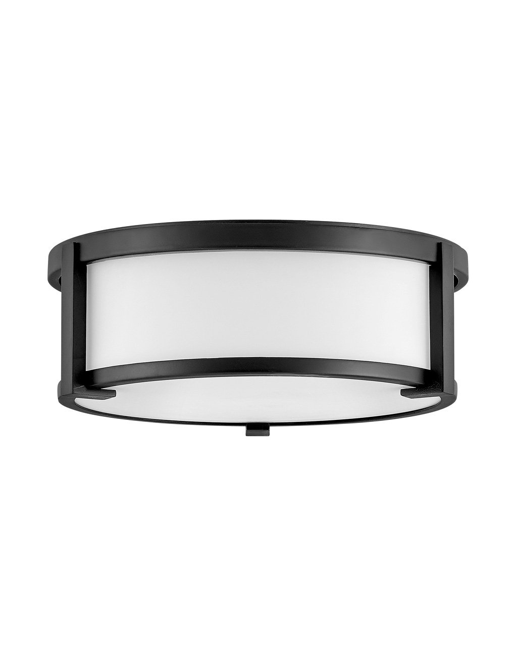 Hinkley Lowell Two-Light Flush Mount Ceiling Light & Reviews | Wayfair