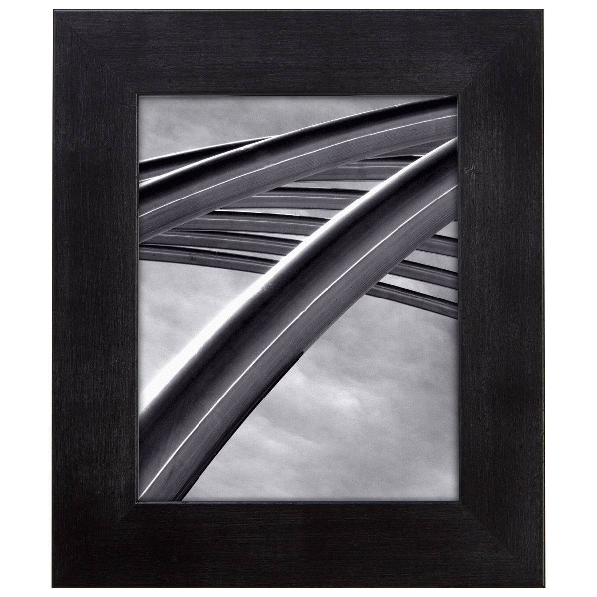 Wrought Studio Matte Single Picture Frame & Reviews - Wayfair Canada