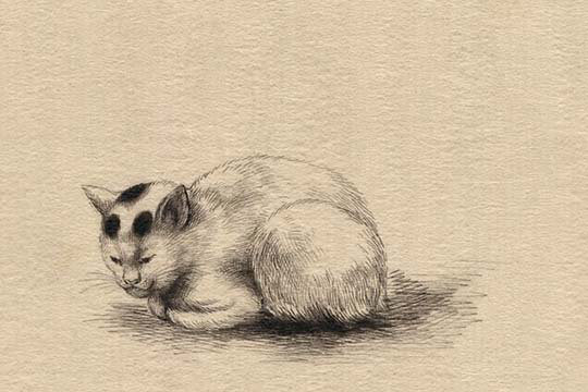 Buyenlarge 'Domestic Cat' by Kano Painting Print | Wayfair