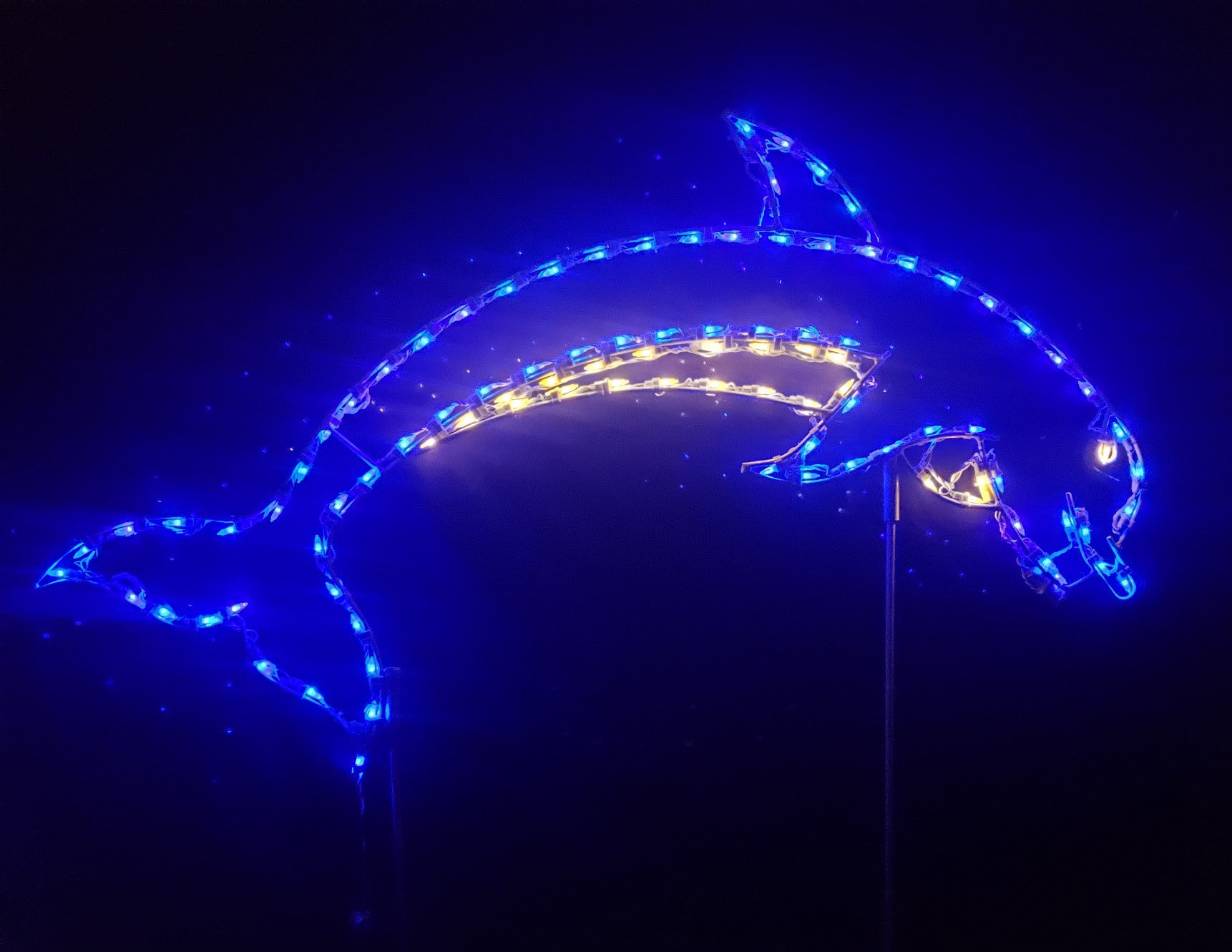 Lori's Lighted D'Lites Dolphin Outline Nautical Holiday Lighted Display ...