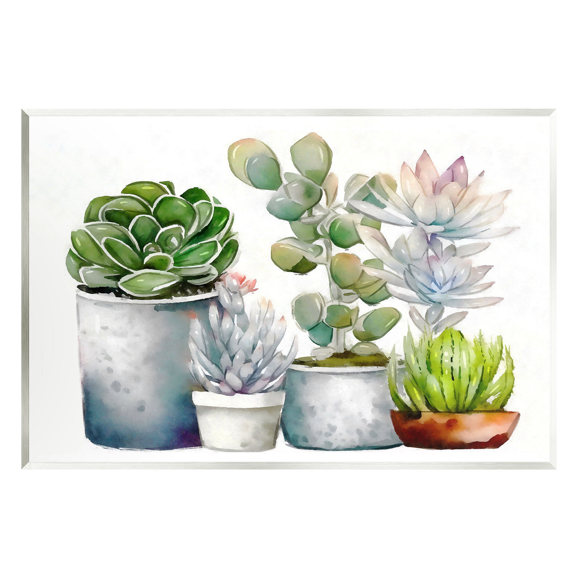 Stupell Industries Mixed Botanicals Floral Succulents Wall Plaque Art ...
