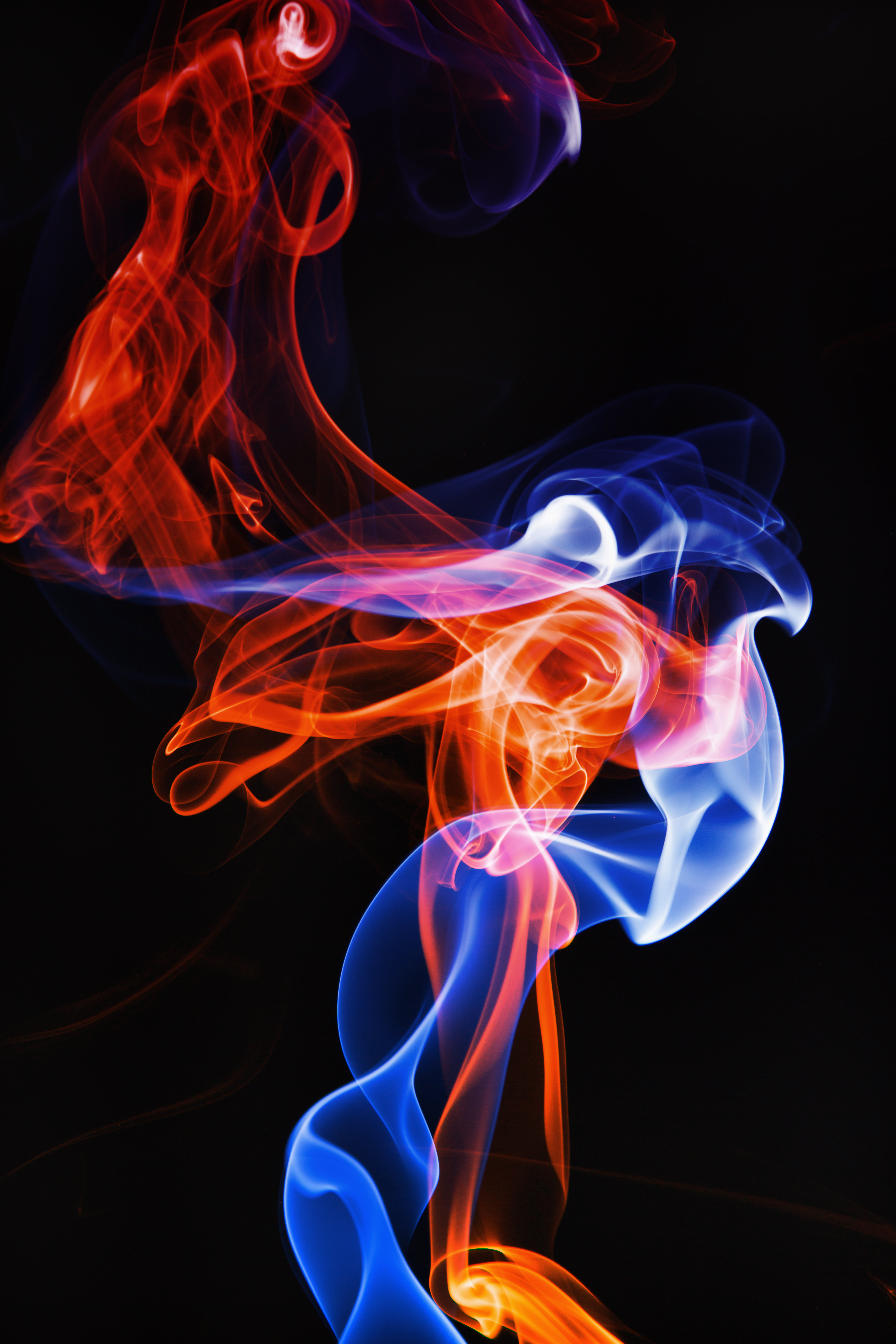Wrought Studio™ Abstract Smoke by Fotospeedy | Wayfair