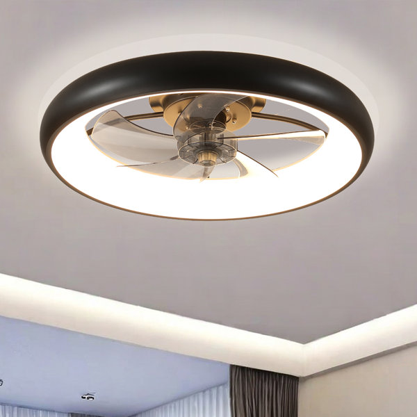 Ivy Bronx 22'' Modern Dimmable LED Ceiling Fan With Light And Remote ...