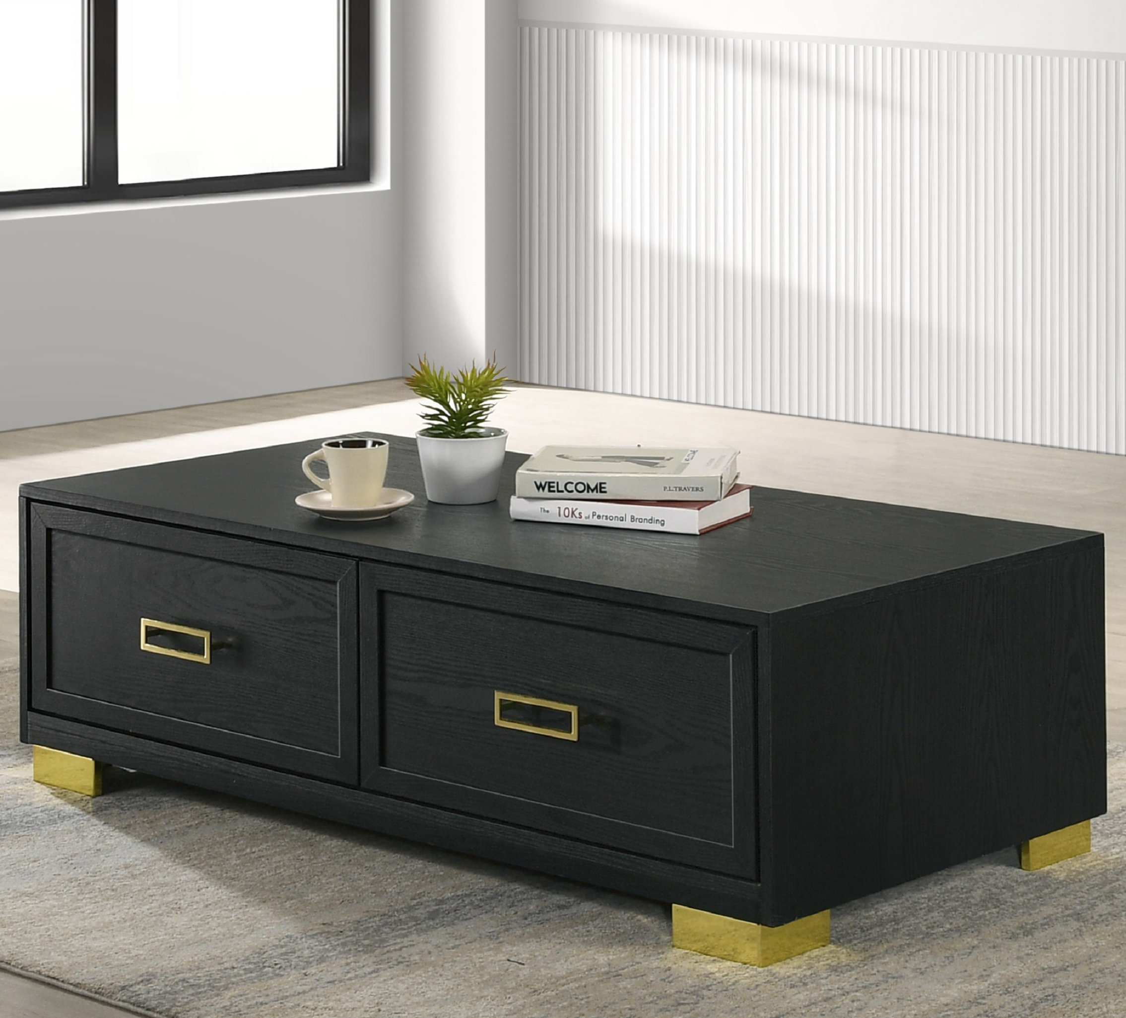 Latitude Run® 1Pc Contemporary Coffee Table Storage Drawers Metal Pull ...