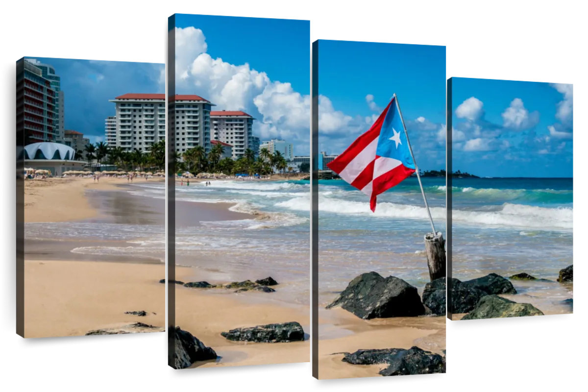 Ebern Designs Nicci Sandy San Juan Beach - Wayfair Canada