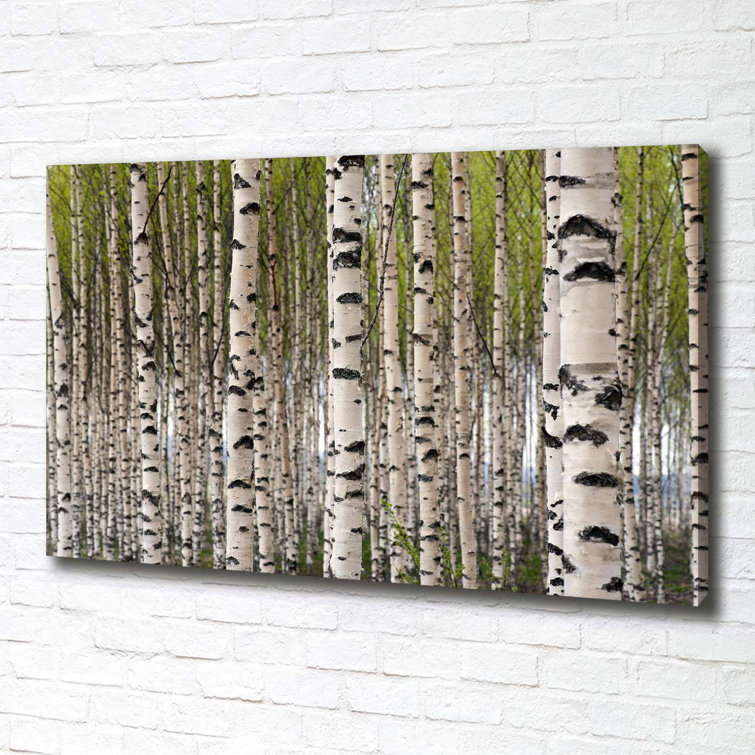 Union Rustic Birch Forest - Wrapped Canvas Print | Wayfair.co.uk