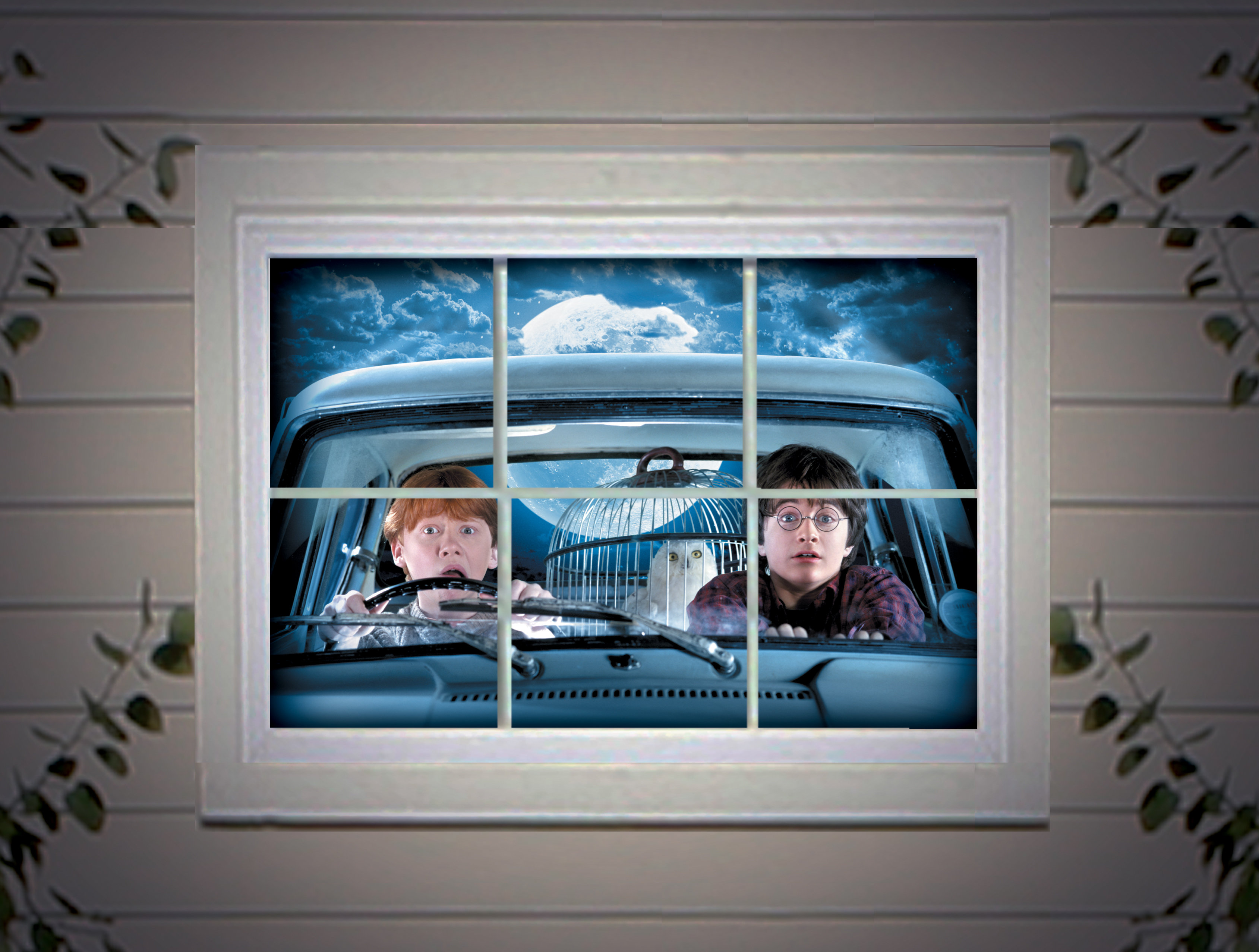 NA Harry Potter Harry Potter Harry & Ron Window Cover | Wayfair