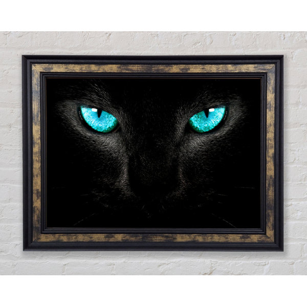 Bright Star Blue Eyes Cat - Single Picture Frame Print | Wayfair.co.uk