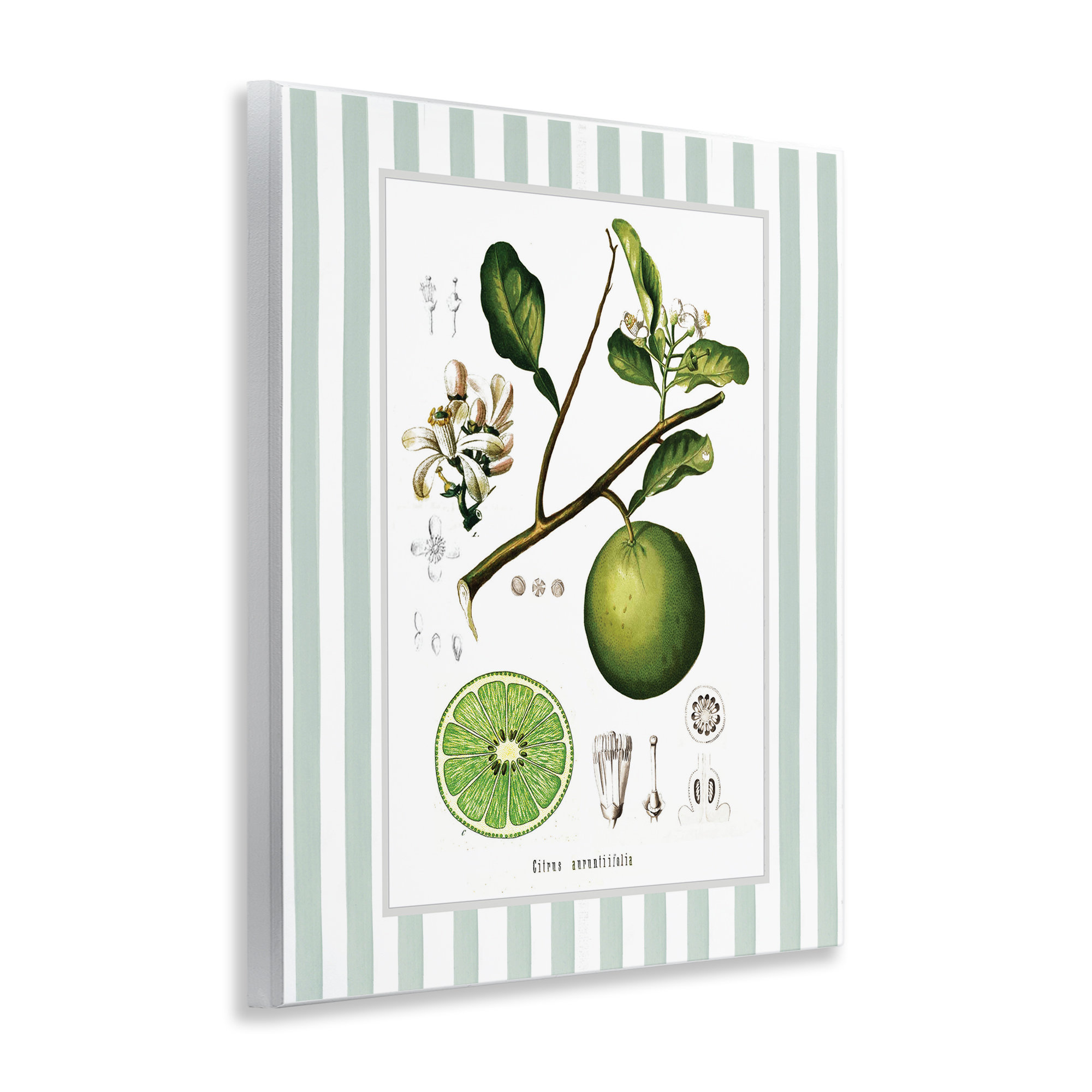 Highland Dunes Vintage Lime Green Stripes Wall Plaque, design by ...