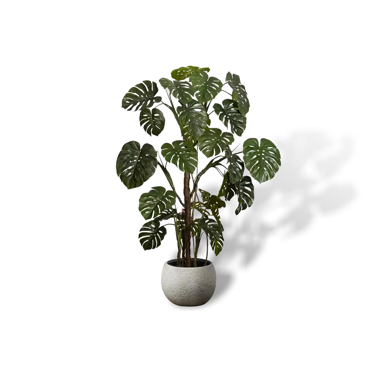 Stella Trek Large Turtle Back Bamboo Green Plant False Trees | Wayfair
