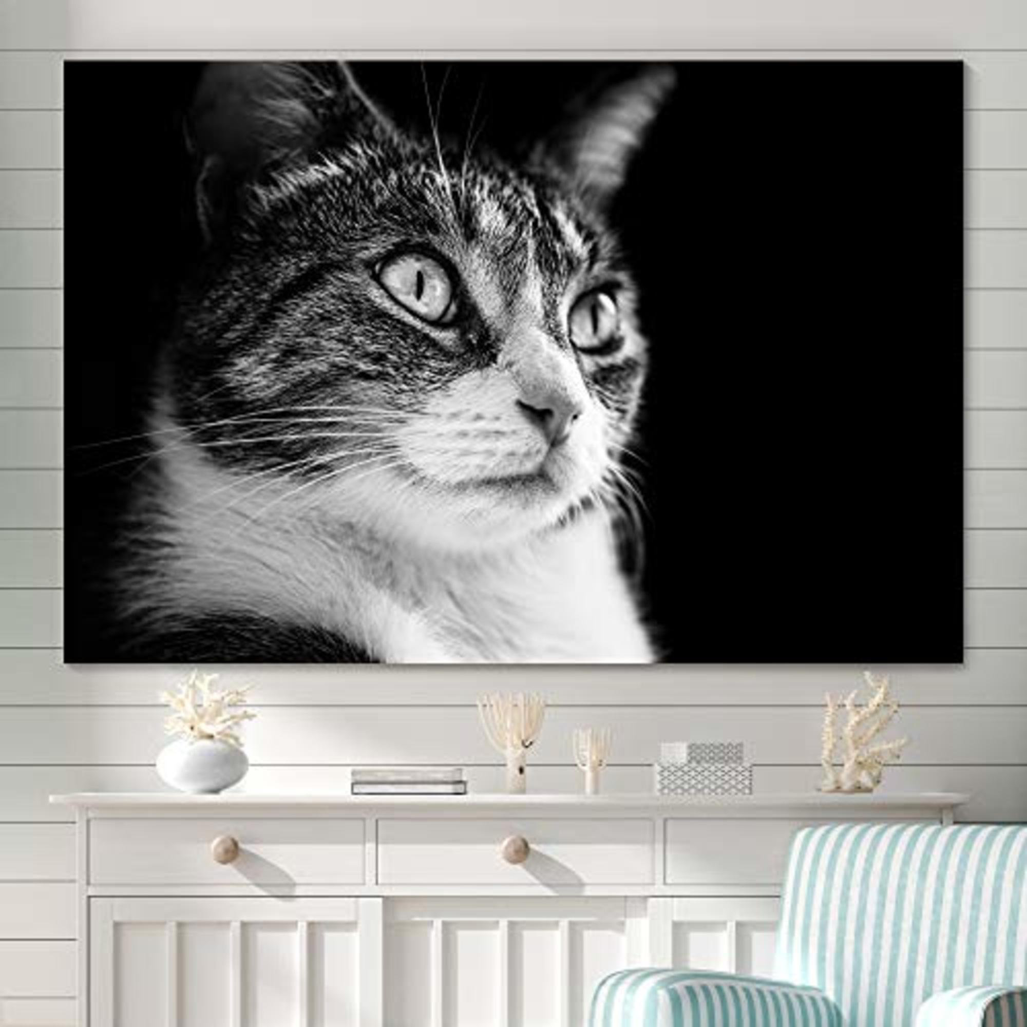 SIGNLEADER Cat Wall Art For Home Office Black And White Cat Canvas Wall ...
