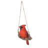 Hi-Line Gift Ltd. Hanging Cardinal on a Branch & Reviews | Wayfair