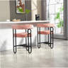 Hokku Designs Hold Bar Stools Set of 2, Modern Bar Stool with Back ...