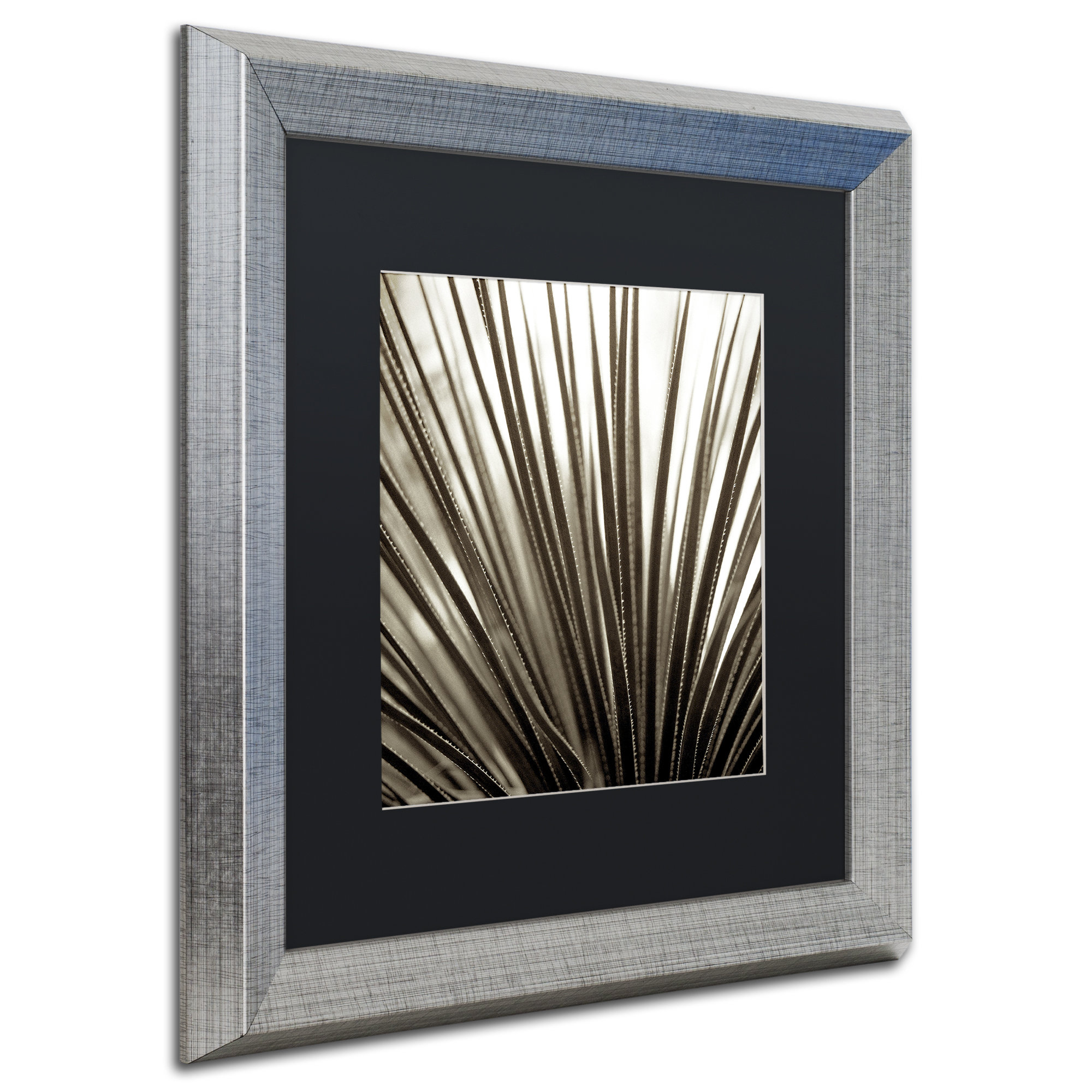 Bay Isle Home™ Alan Blaustein 'Florison XLVIII' Framed Photographic ...