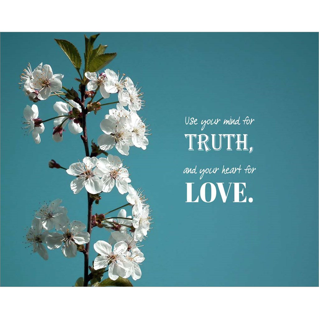 Trinx Use Your Mind For Truth - Flowers On Branch Color By Color Me ...