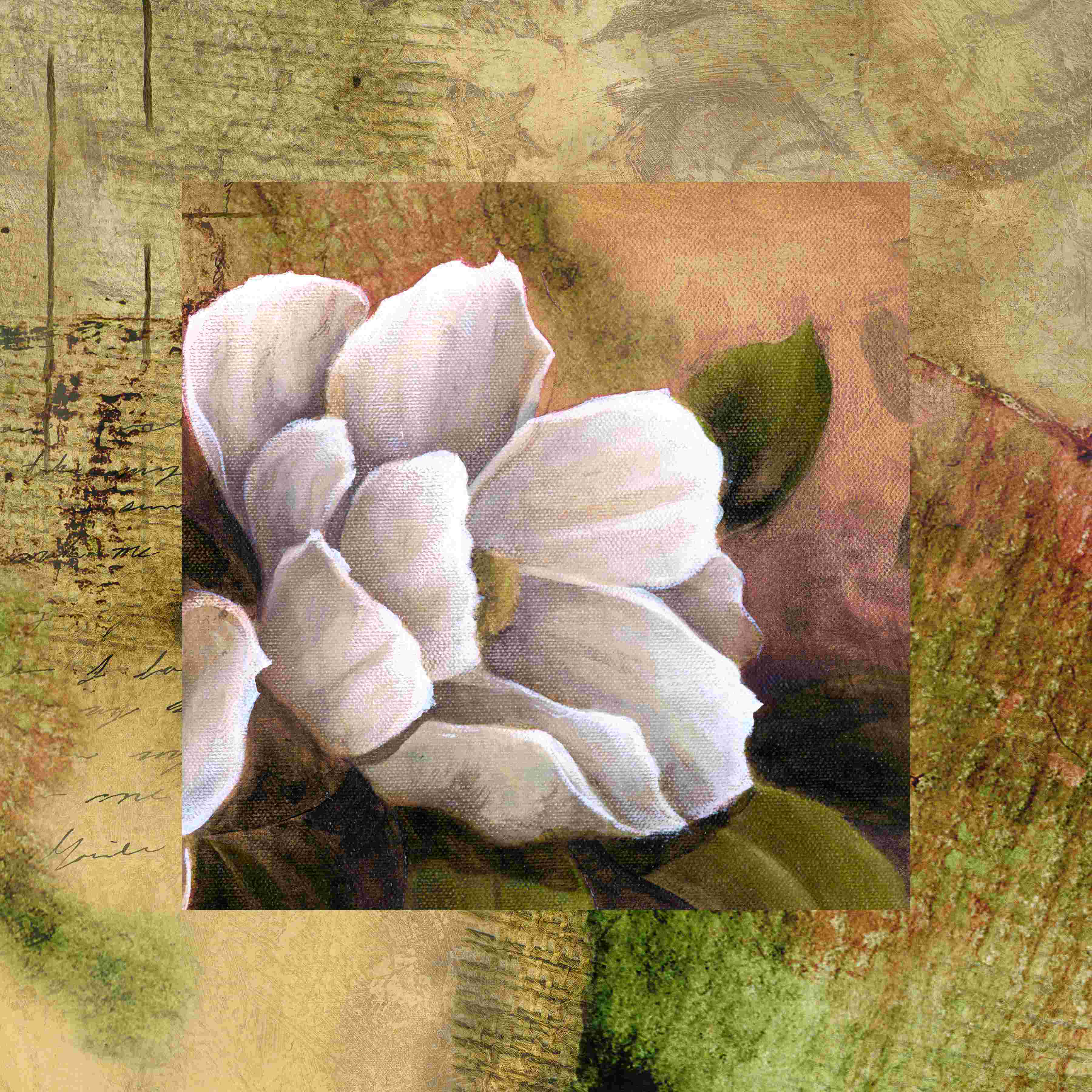 Winston Porter Magnolia Flower - Wrapped Canvas Painting | Wayfair