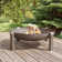Dakota Fields Sotomayor Stainless Steel Charcoal/Wood Burning Fire Pit ...