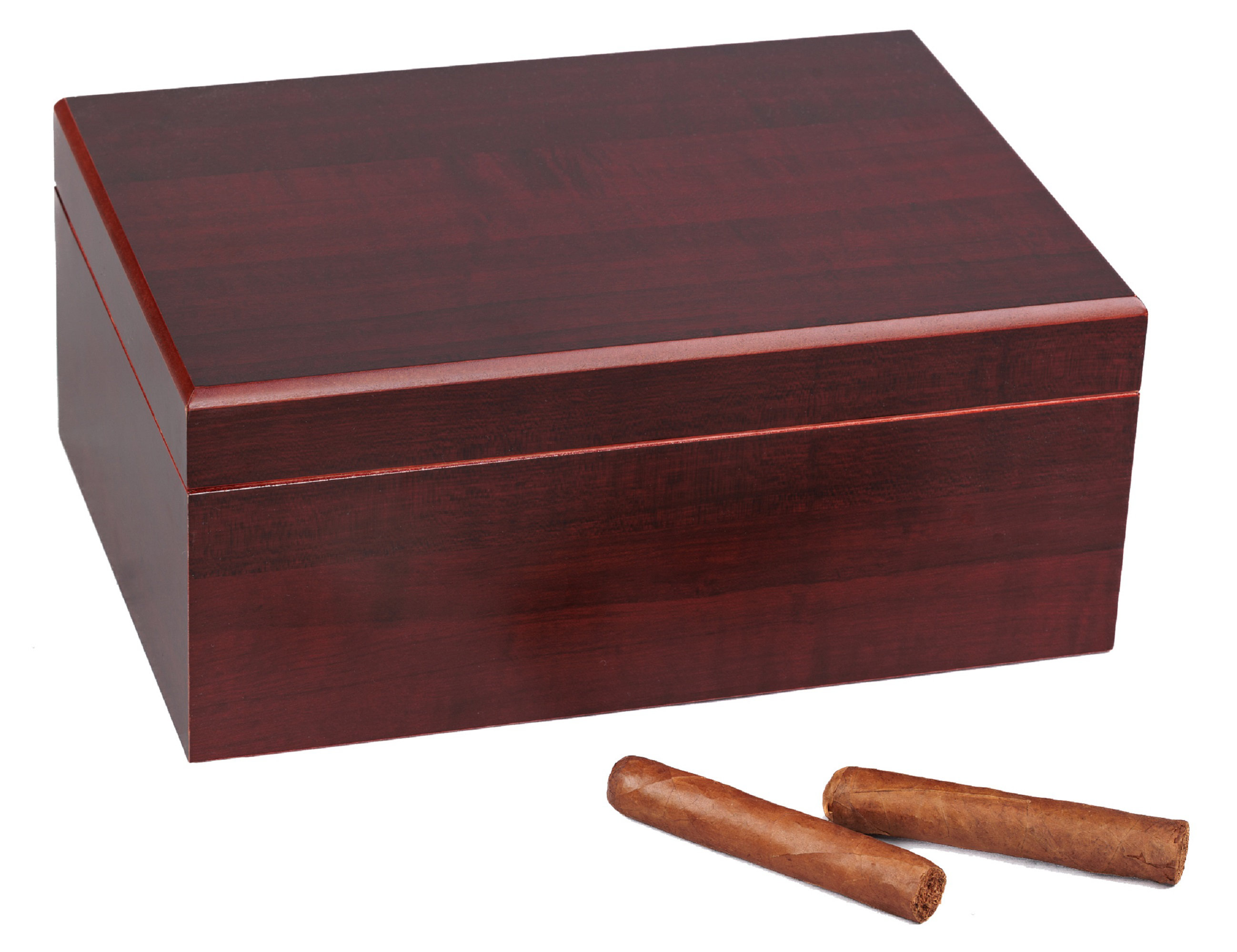Charlton Home® Jude Cigar Humidor | Wayfair