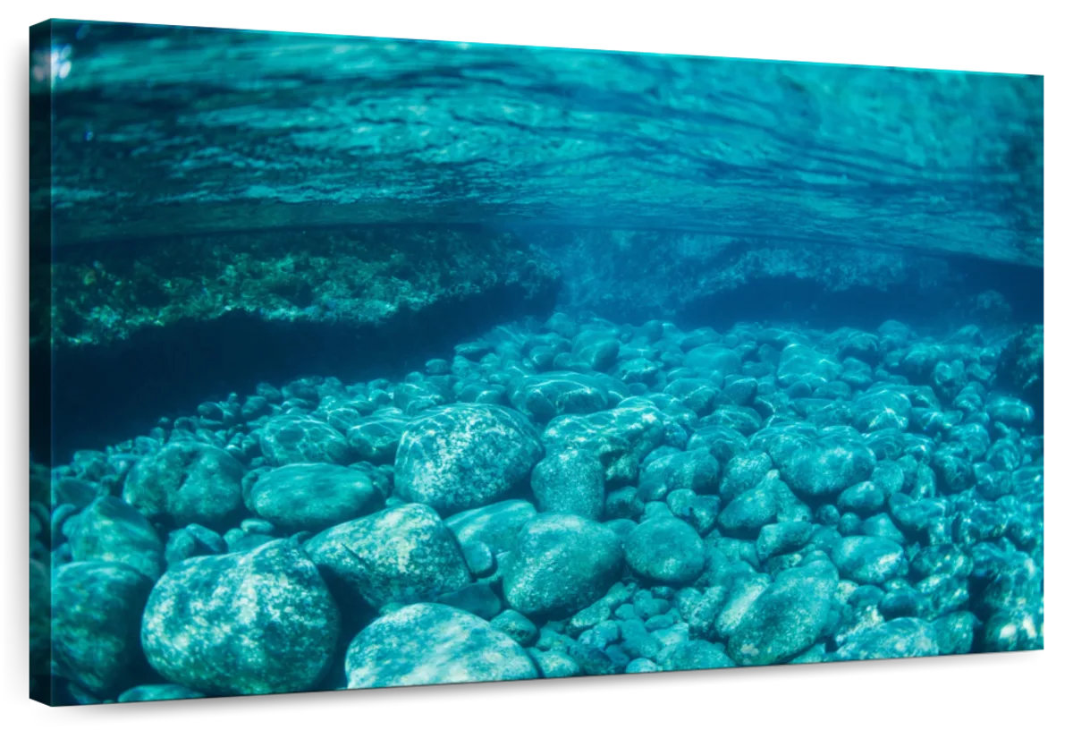 Breakwater Bay Underwater Stony Pool - Wayfair Canada