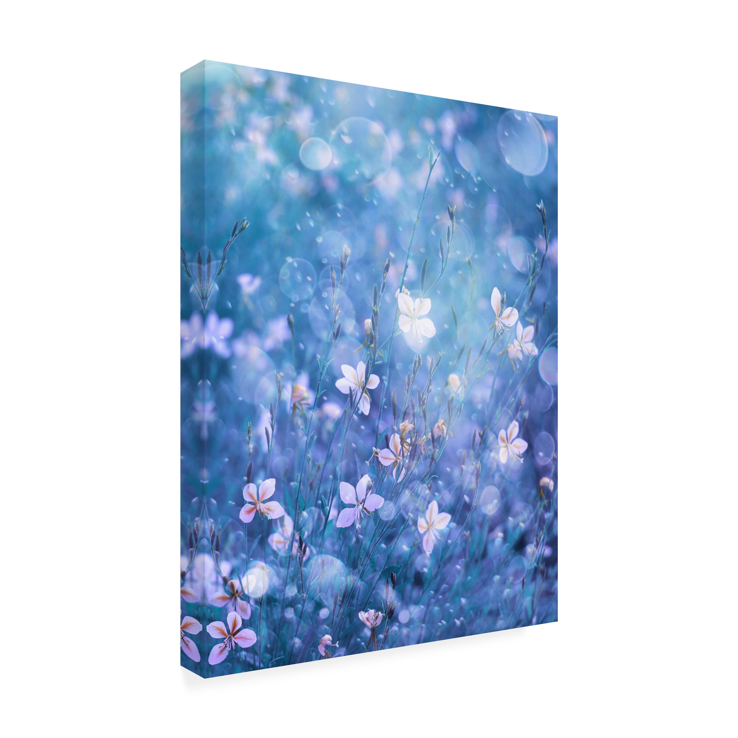 Ebern Designs Delphine Devos Little Beauties Canvas Art | Wayfair