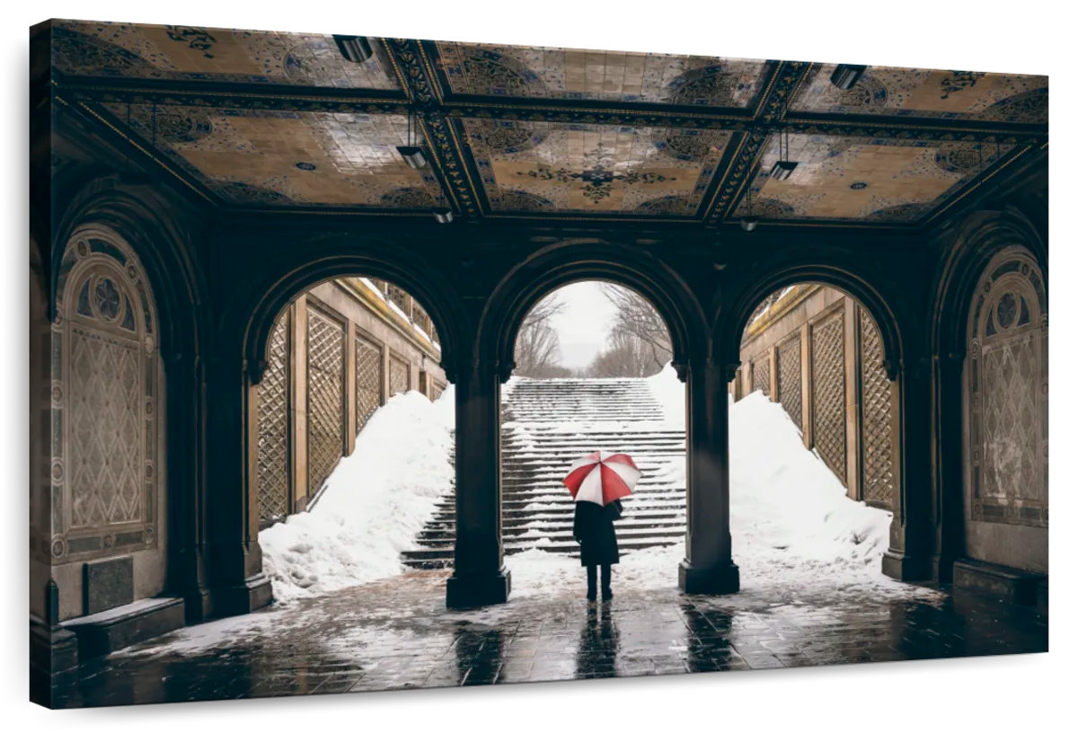 Elephant Stock Bethesda Fountain Archway | Wayfair