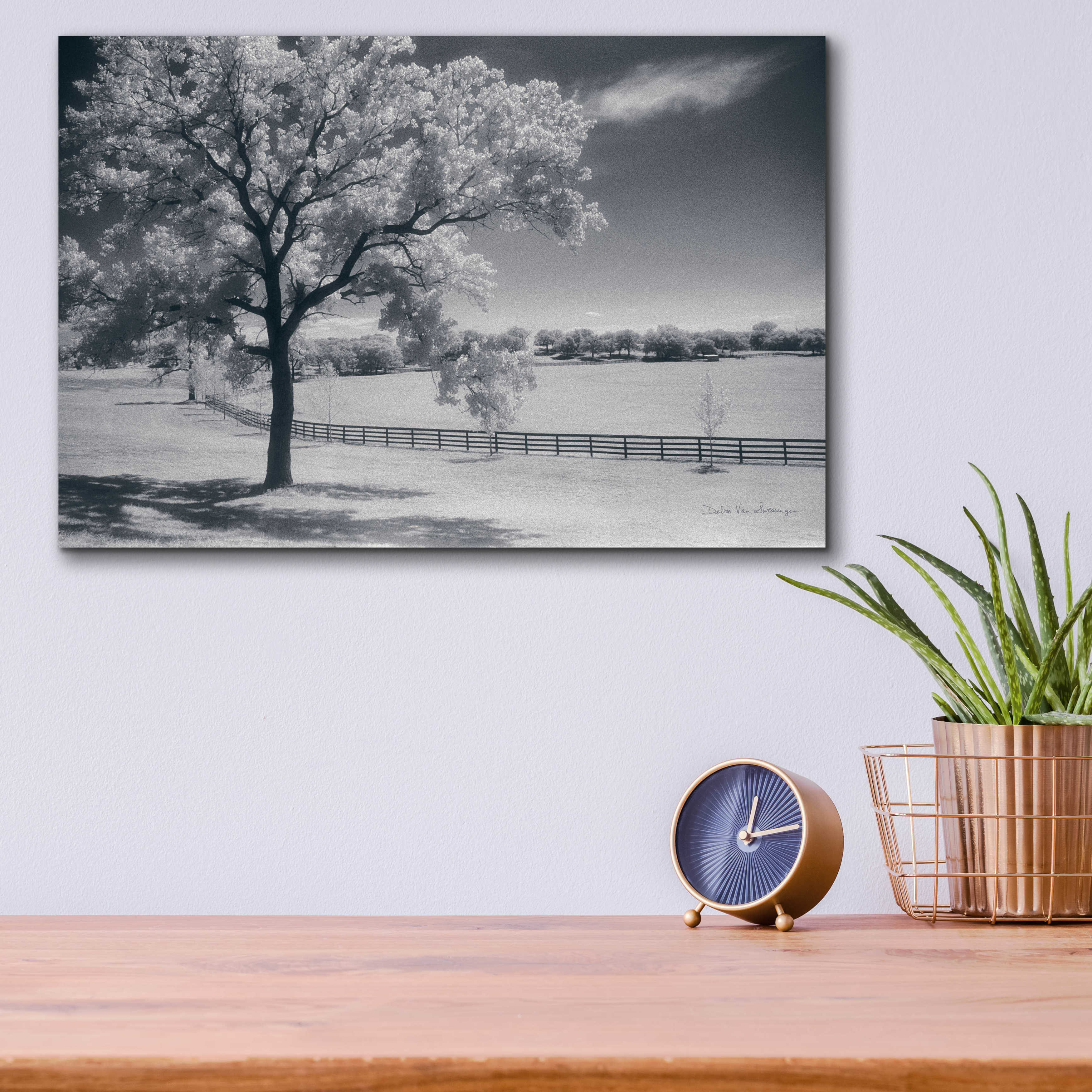 Latitude Run® Trees Fence II by Debra Van Swearingen - Unframed Print ...